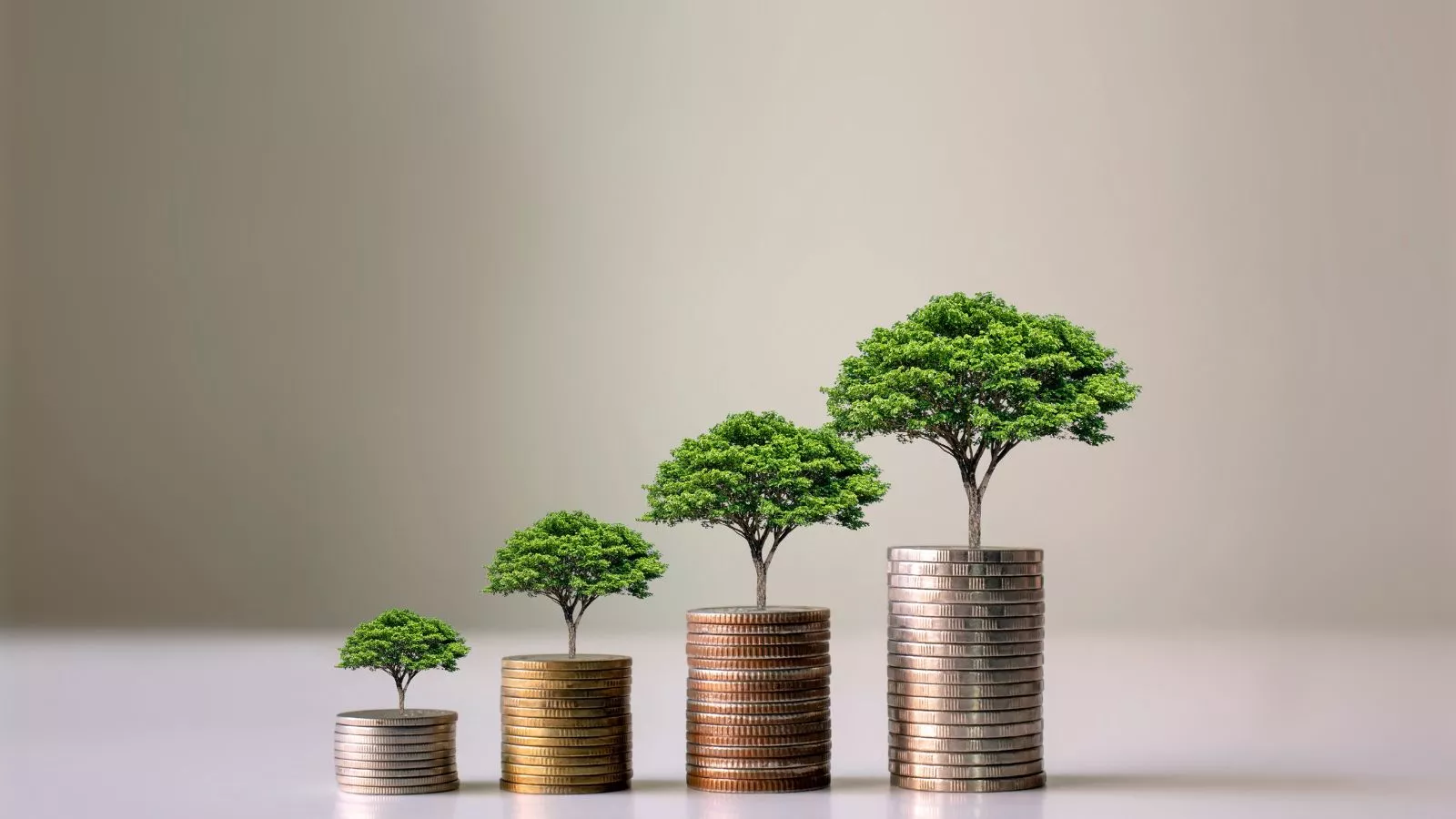 GOinvest：TNG Principal、e-Mas是什么？ 回报率达22.83%！值得投资吗？ - Spark Spark Finance