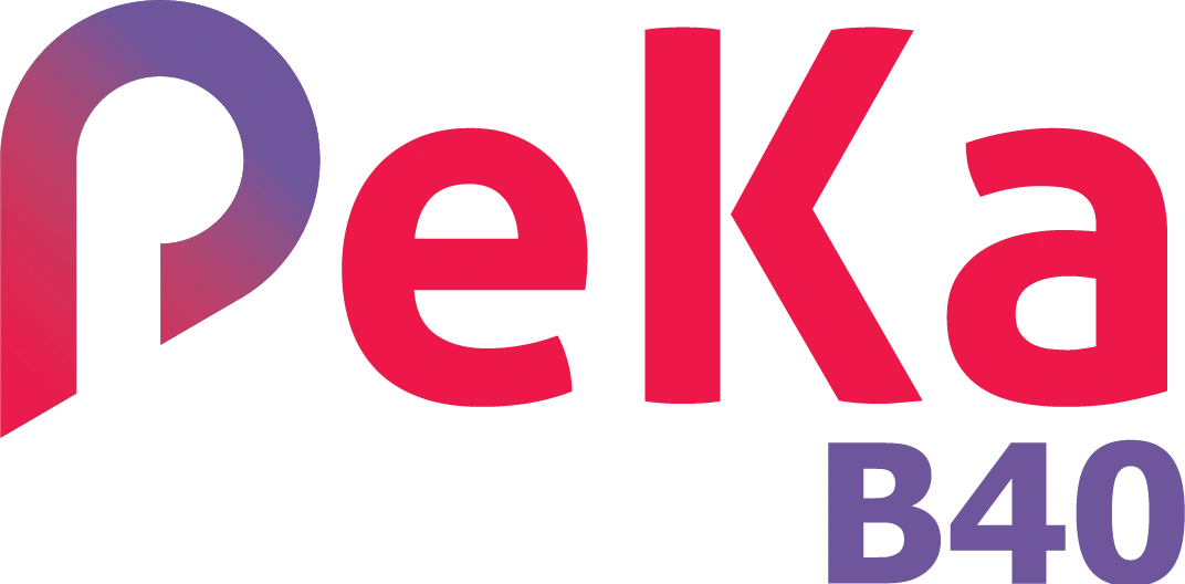 大马政府津贴B40的7大医疗健康福利！MySalam、Peka B40等申请方法 - Spark Spark Finance